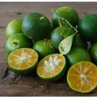 Jual 250gr Sonkit/ Jeruk Kunci, Calamansi, Somboi, Lemon Cui, Jeruk ...