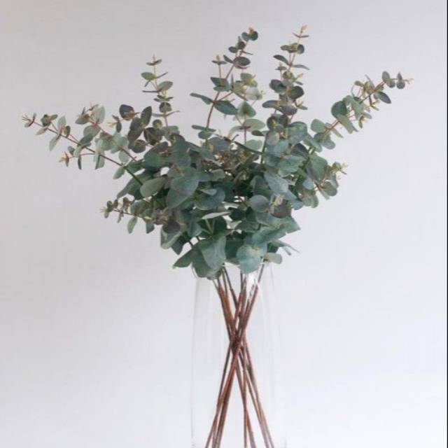 Jual Daun Silver Dollar Artificial - Daun Dollar Artificial - Daun ...