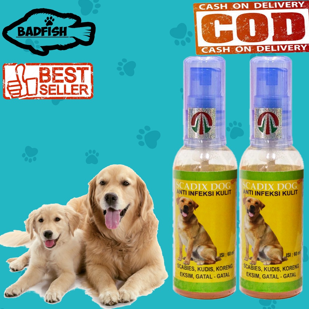 Jual OBAT ANJING JAMURAN KUTU SCABIES - SCADIX DOG 60 ml | Shopee Indonesia