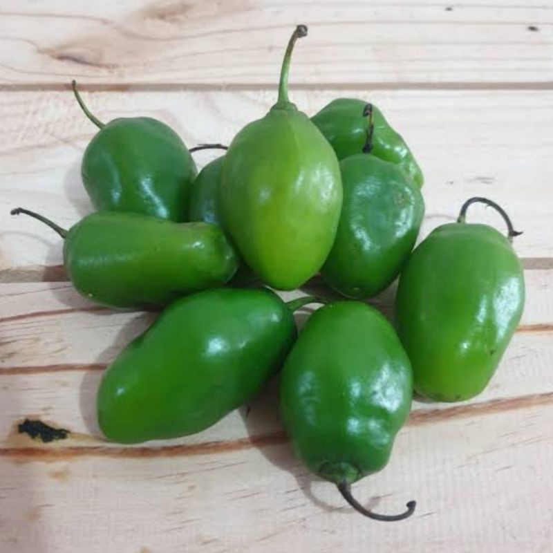 Jual TokoMinah Cabe Gendot Hijau Sayuran Segar 1 Pak | Shopee Indonesia