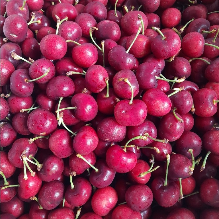 Jual Cherry 100 gram | Shopee Indonesia