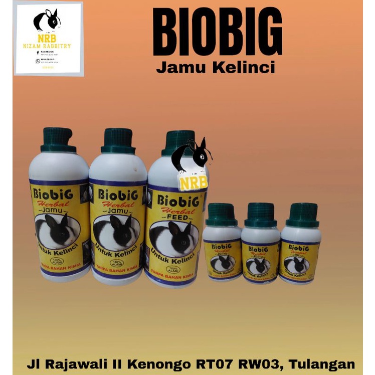 Jual Jamu Kelinci Biobig | Shopee Indonesia Jual Jamu Kelinci Biobig | Shopee Indonesia