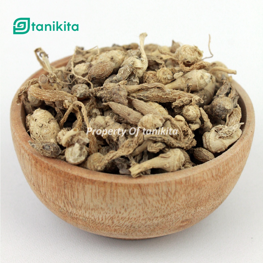 Jual Kunci Pepet Kering 100gr / Temu Rapet Kering | Shopee Indonesia