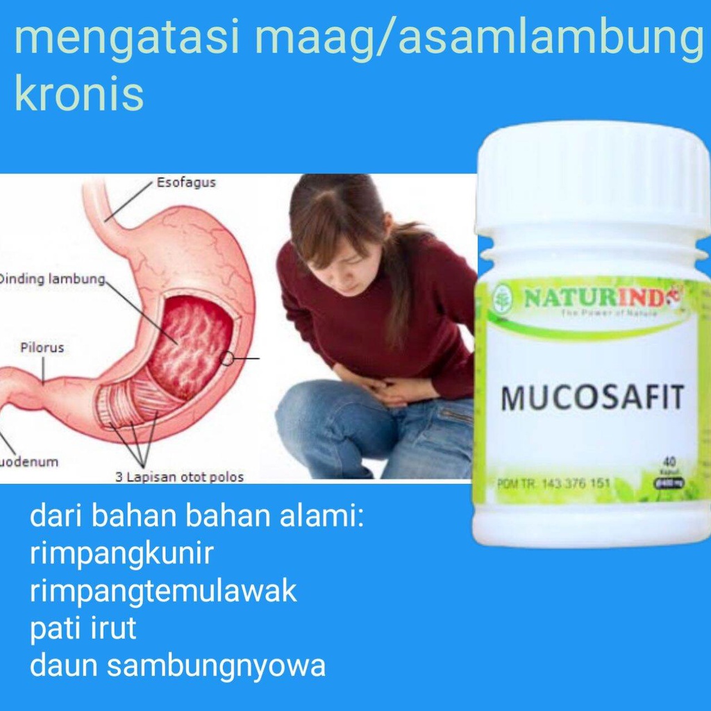 Harga Mucosofit Terbaru Juli 2023 |BigGo Indonesia