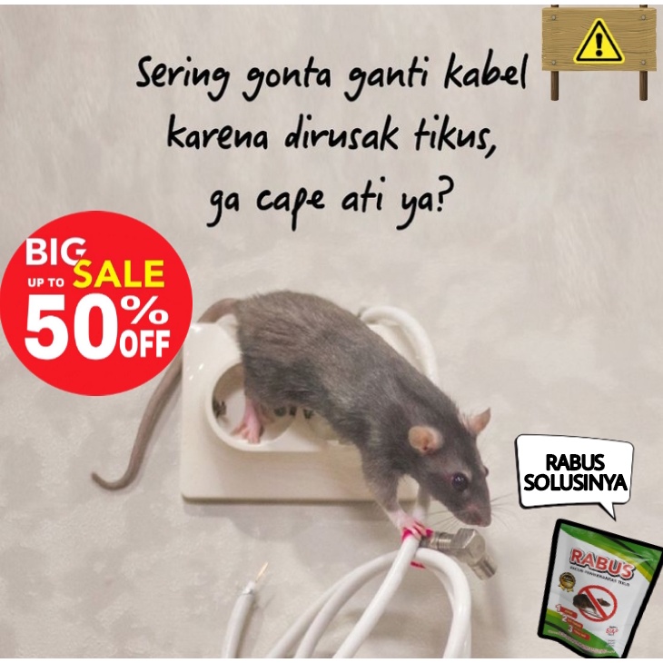 Jual Racun Tikus Ampuh Mati Kering Tidak Bau RABUS 50 gram | Shopee ...