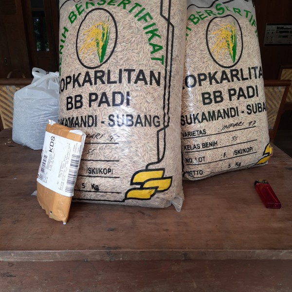 baja urea untuk padi - Nathan North