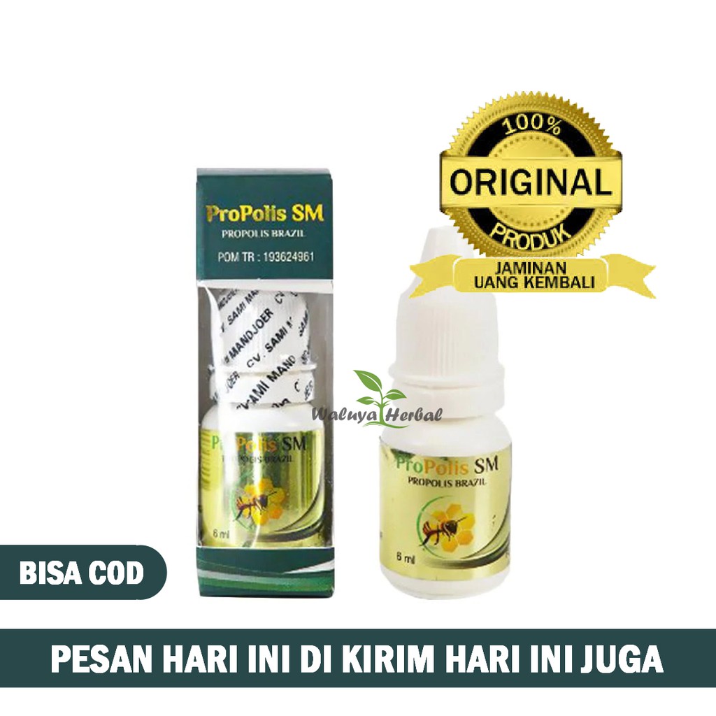Jual obat ketombe berkerak kulit kepala kering gatal - propolis sm brazil Indonesia|Shopee Indonesia
