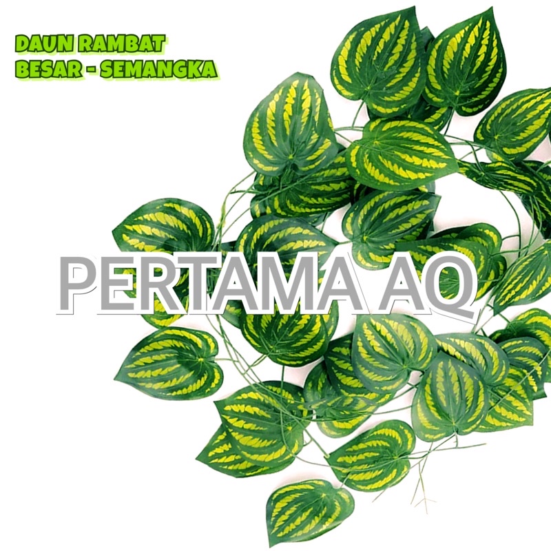 Jual Satuan Rambat Besar/ Rambat Jumbo/ Daun Dekorasi/ Daun Rambat ...