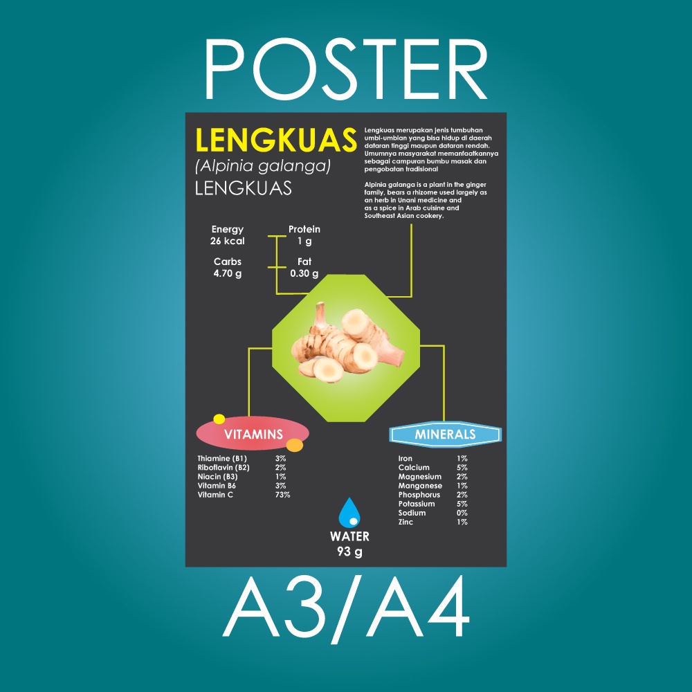 Jual Poster Dekorasi Dapur atau Cafe tentang Lengkuas - Ukuran A3 atau ...