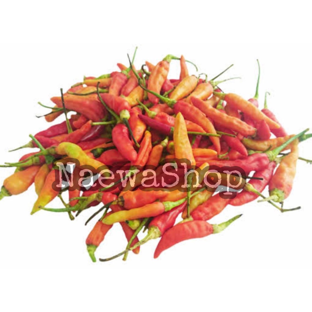 Jual CABE RAWIT MERAH - CABE GILA - CABAI SEGAR | Shopee Indonesia
