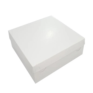 Jual Dus Nasi Kotak [50 pcs/ 20 x 20 cm] / Kotak nasi putih polos tutup ...