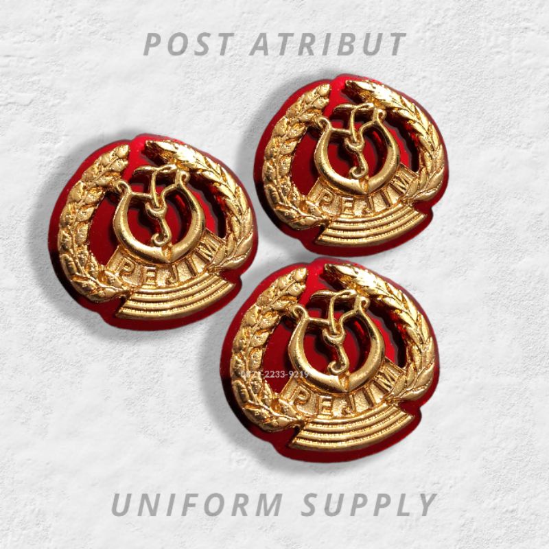 Jual Brevet Pin PEJIM / Atribut Imigrasi / Pejabat Imigrasi / PEJIM ...