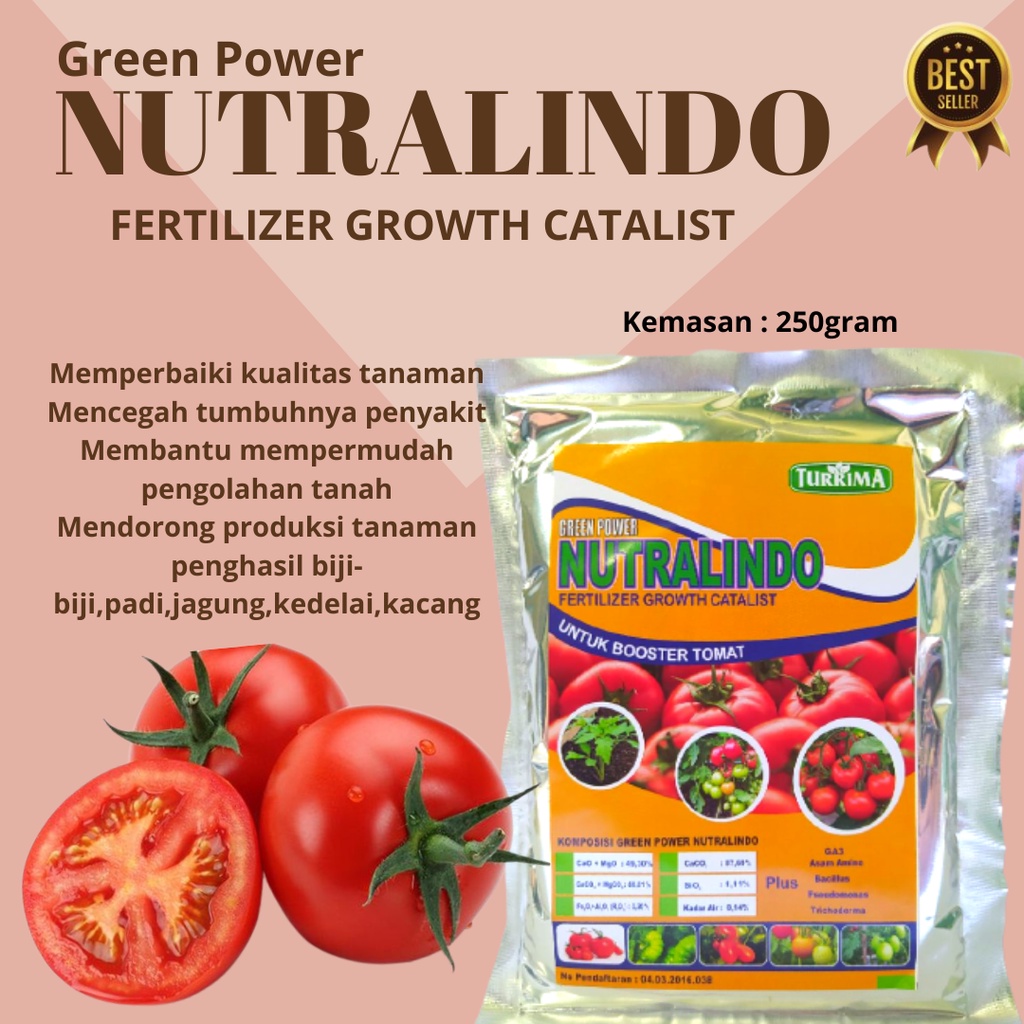 Jual Pupuk Pelebat Buah Tomat ANTI Layu Busuk Buah, Pupuk Tomat Paling Ampuh, Nutralindo Terbaik ...