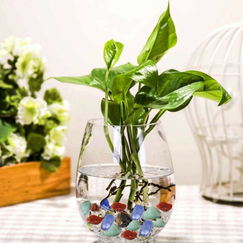 Jual Vas Bulat Vas Bunga Pas Bunga Ruang Tamu Vas Kaca Vas Aesthetic ...