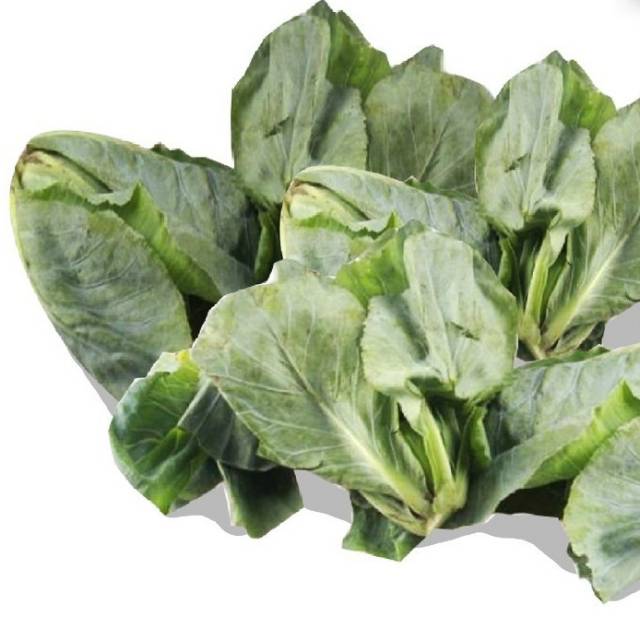 Harga Ceciwis Terbaru Agustus 2024 |BigGo Indonesia