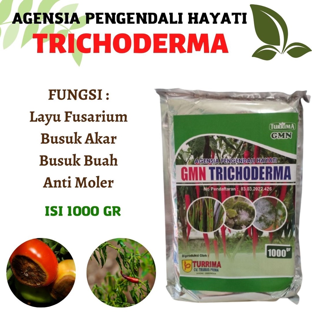 Jual Obat Hama Wereng, Pupuk Trichoderma Cegah Busuk Pada Buah Dan Akar ...