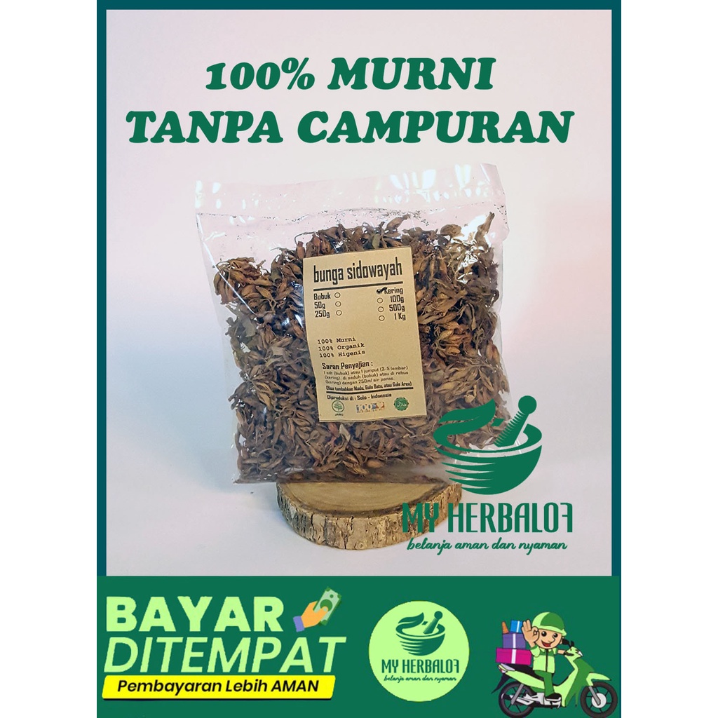 Jual Herbal Bunga Sidowayah Kering / Woodfordia Floribunda Salisb ...