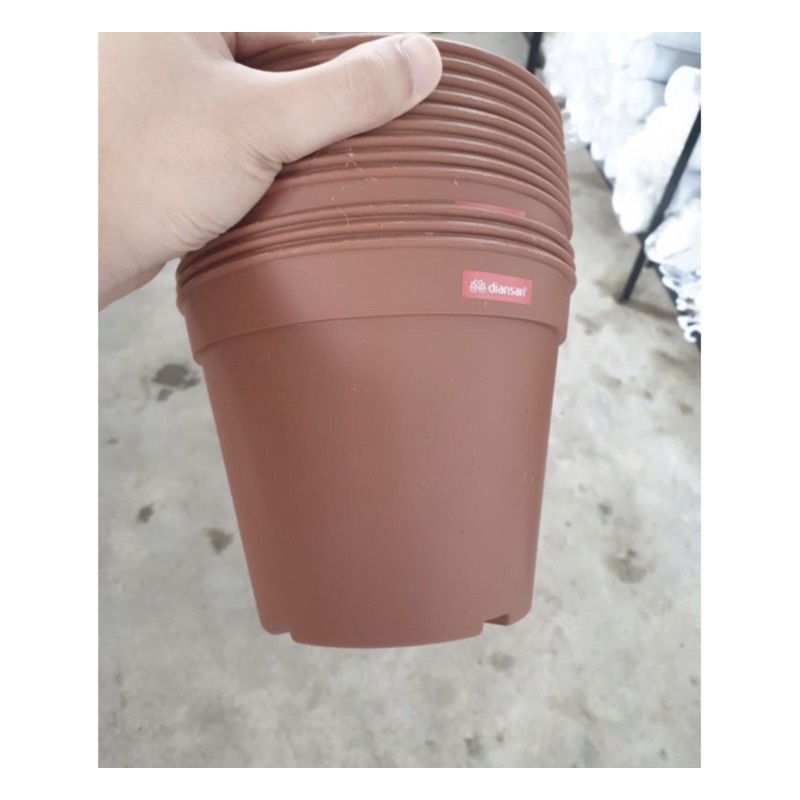Jual Pot Plastik Tanaman Warna Coklat Dove 12cm | Shopee Indonesia