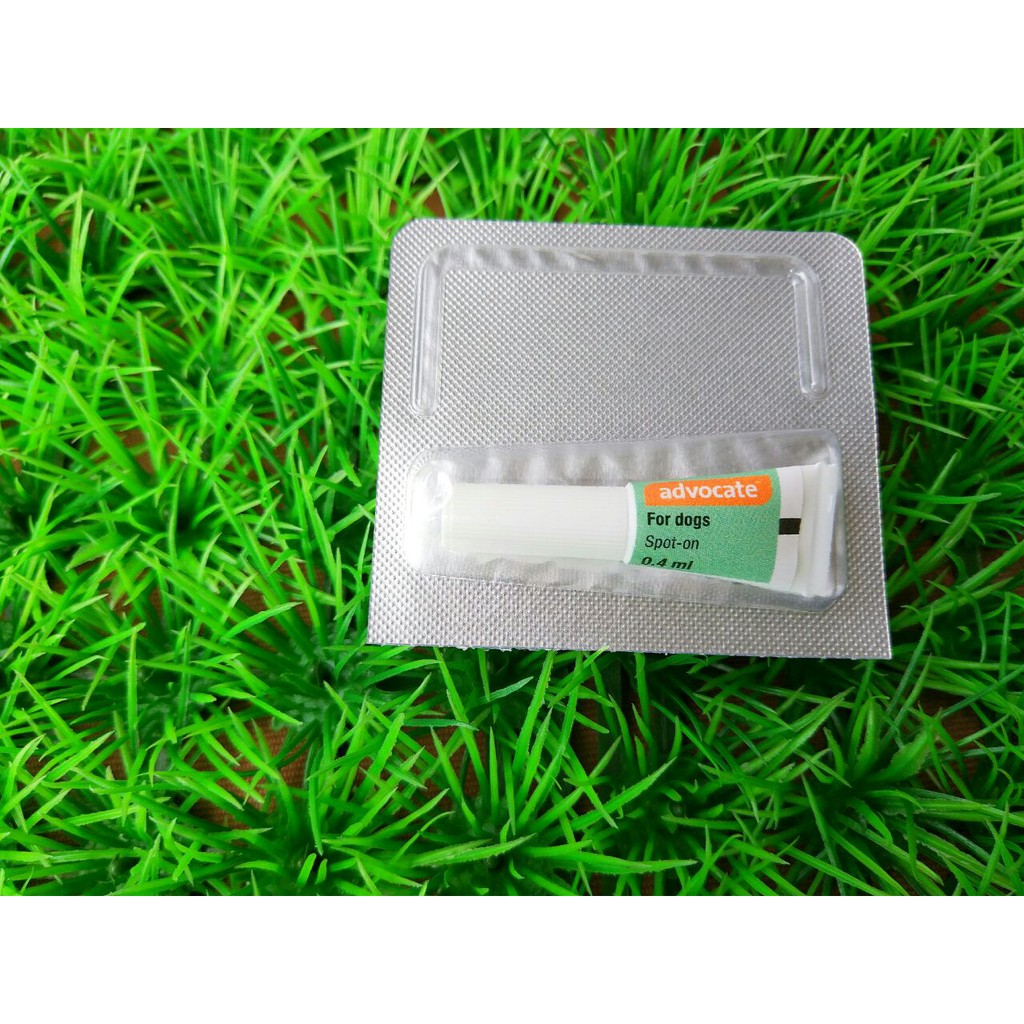 Jual Obat Kutu Anjing Advocate (kurang dari 4kg) | Shopee Indonesia