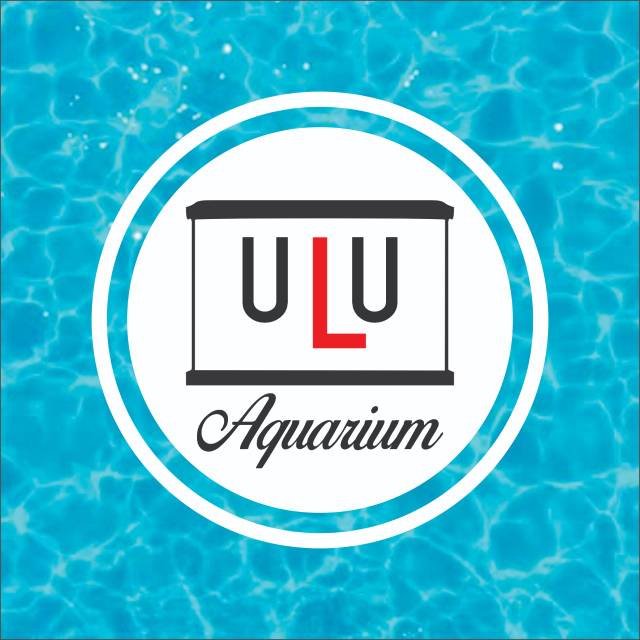 Produk uluaquarium | Shopee Indonesia