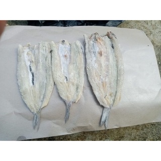 Jual ikan asin gabus laut/ bloso kering: 250 gram | Shopee Indonesia