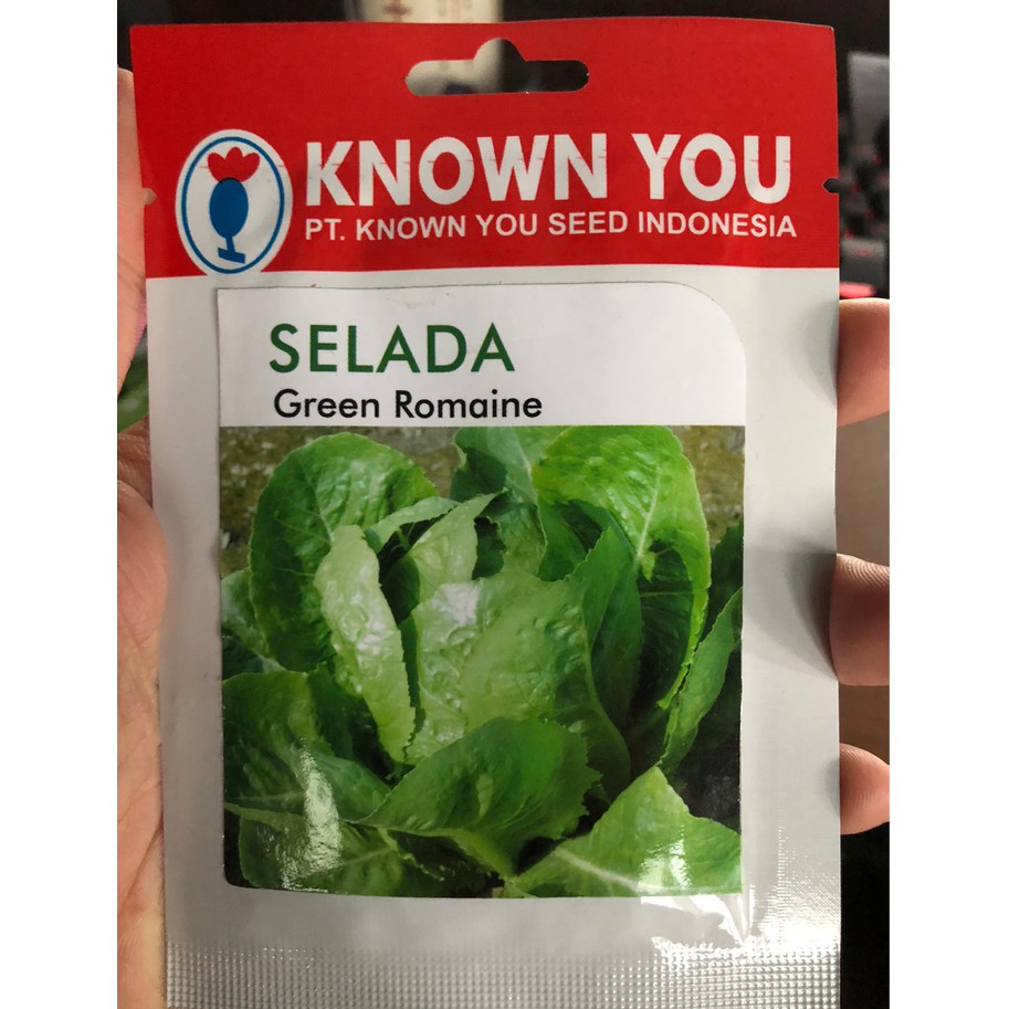 Jual Benih Selada Green Romaine Known You Seed Small Pack | Shopee Indonesia