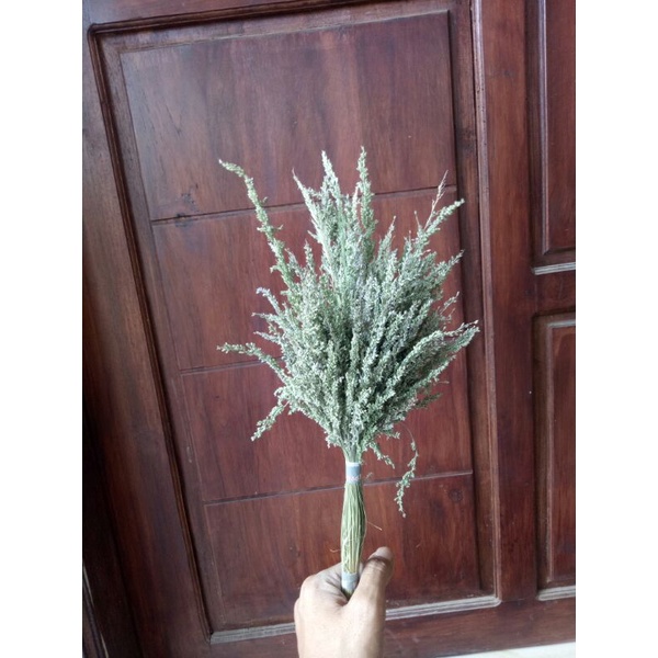 Jual bunga rumput jawan | bunga rustic dekorasi | Shopee Indonesia
