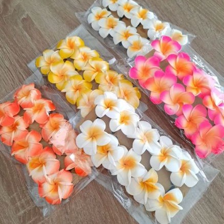 Jual Bunga Kamboja Jepun Bali Hiasan Mahar Hantaran Dekorasi Rustic ...