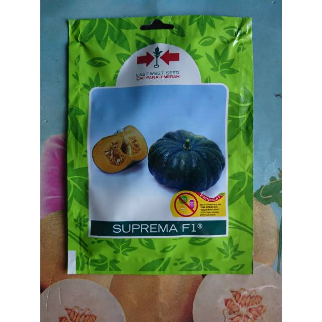 Jual Benih Biji Labu Kuning SUPREMA isi 40bj bibit Labu Cap Panah Merah ...