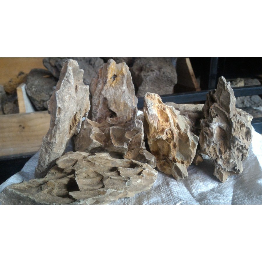Harga Dragon Stone Batu Aquascape Terbaru Jun 2026 | BigGo Indonesia