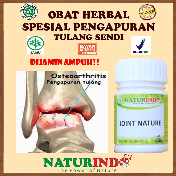 Jual Obat Nyeri Sendi Dan Tulang Pegal Linu Ampuh Atasi Sakit Lutut Dan ...
