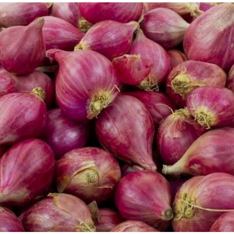 Jual Bawang Merah Segar 500gr | Shopee Indonesia