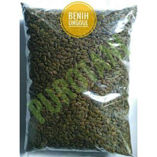 Jual Benih biji sengon laut biji albasia | Shopee Indonesia