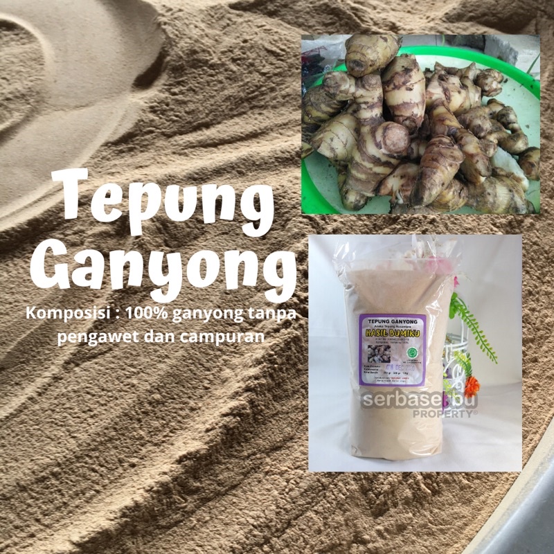 Jual Tepung Ganyong (1 Kg) | Tepung Umbi Ganyong Free Gluten | Tepung ...