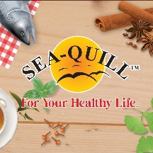 Toko Online Sea Quill Official Shop | Shopee Indonesia