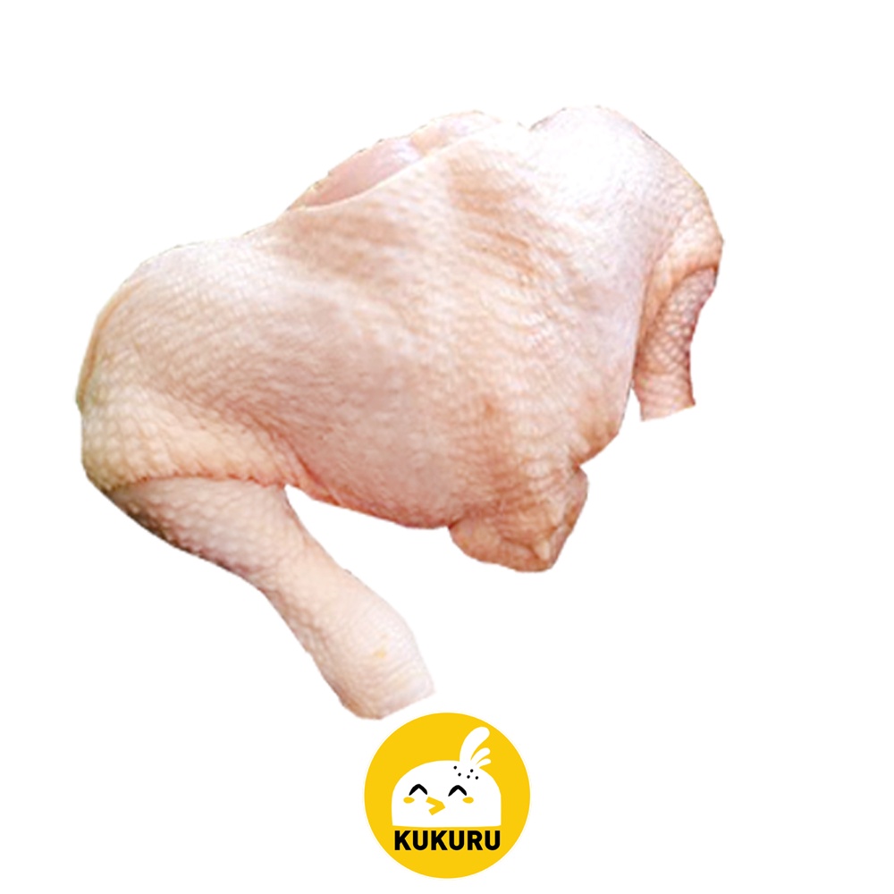 Jual PAHA AYAM UTUH / CHICKEN LEG THIGH (FRESHLY FROZEN) | Shopee Indonesia
