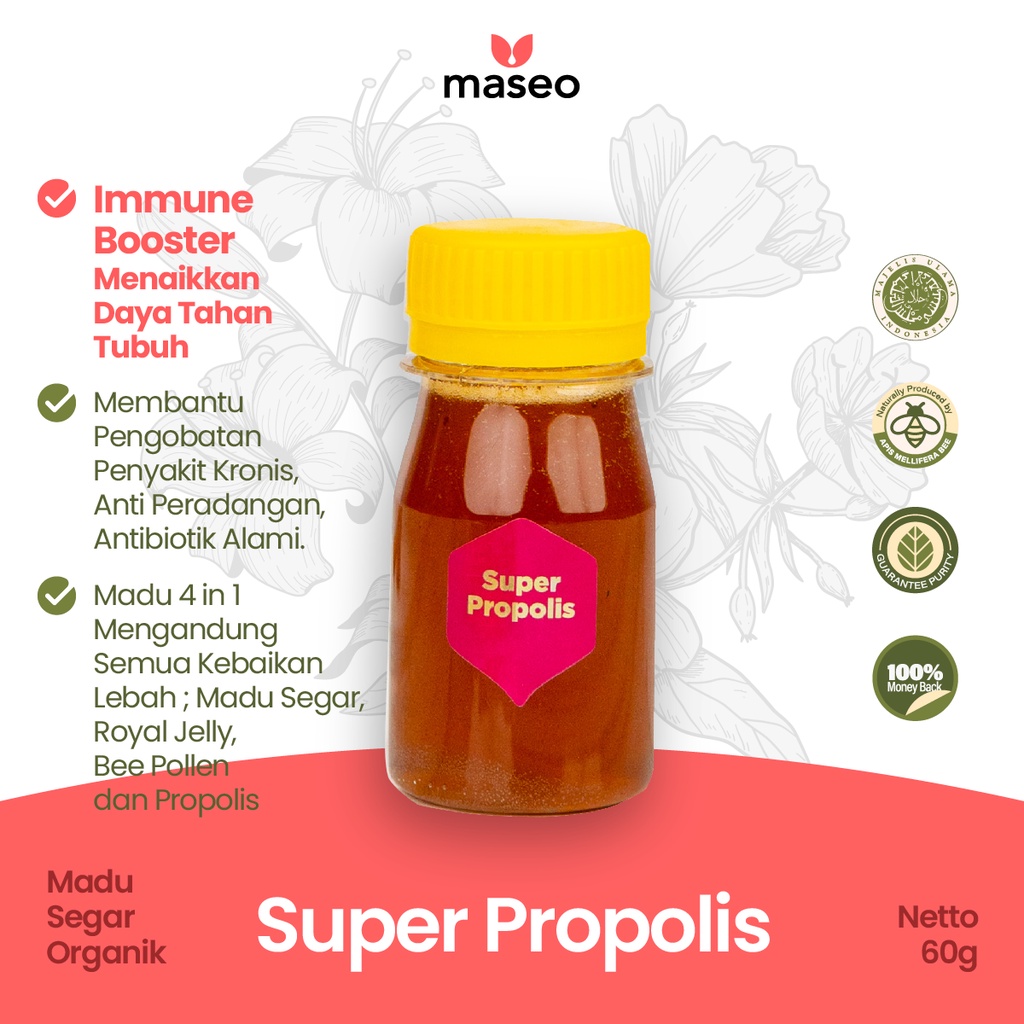 Jual Madu Super Propolis Maseo Mini Size 60gr Madu Immune Booster Imun ...