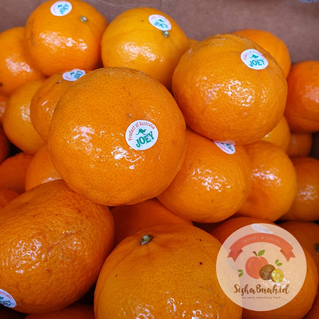 Jual JERUK HONEY MURCOTT | HONEY MURCOT AUSTRALIA | JERUK KUPAS AUSI ...