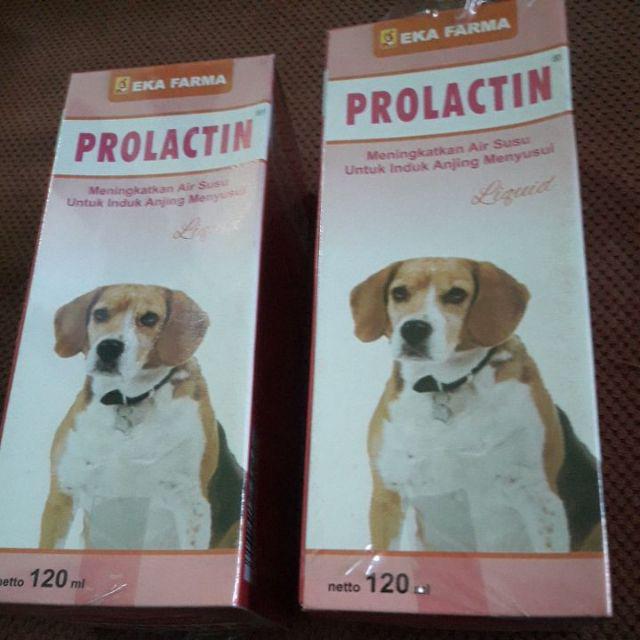 PROLACTIN 120ml / vitamin obat untuk induk anjing / menambah air susu ...