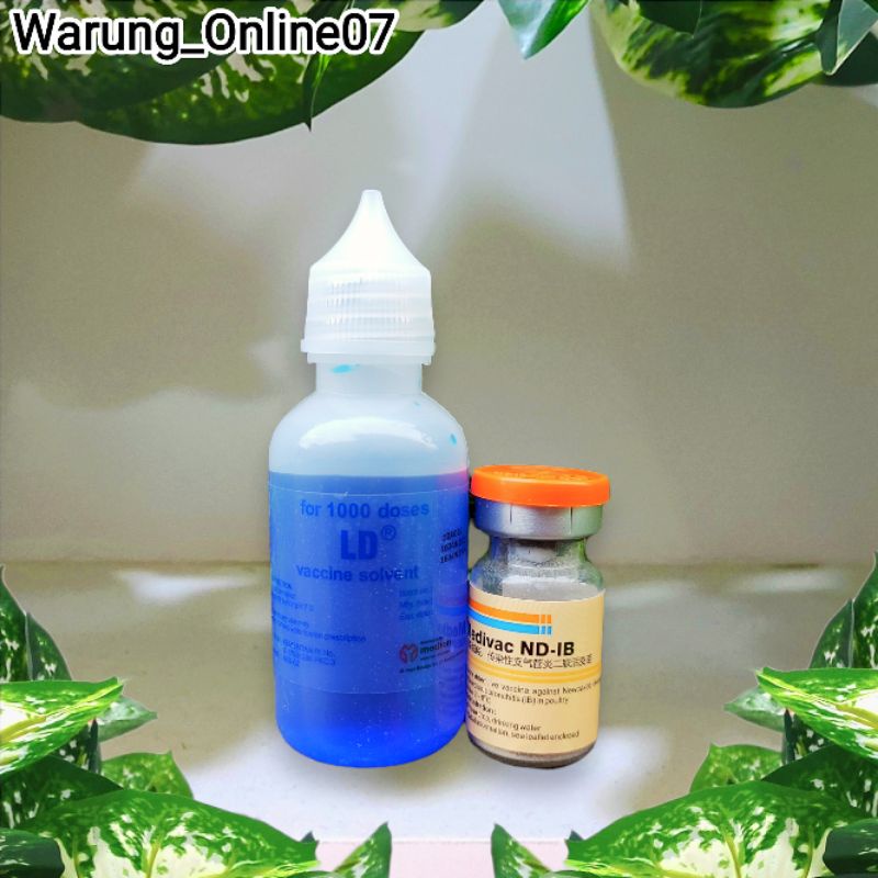 Jual Vaksin Medivac ND - IB Dosis 1000 Ekor Vaksin Lanjutan Untuk ... Jual Vaksin Medivac ND - IB Dosis 1000 Ekor Vaksin Lanjutan Untuk ...
