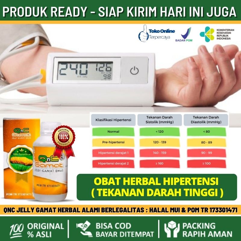 Jual Obat Untuk Hipertensi / Darah Tinggi 100% Herbal, Obat Darah ...