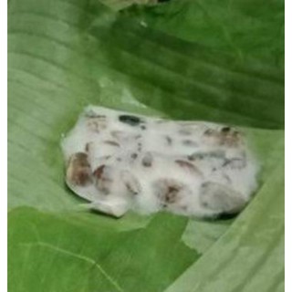 Jual Tempe benguk (mentah) makanan tradisional khas solo versi bengok ...
