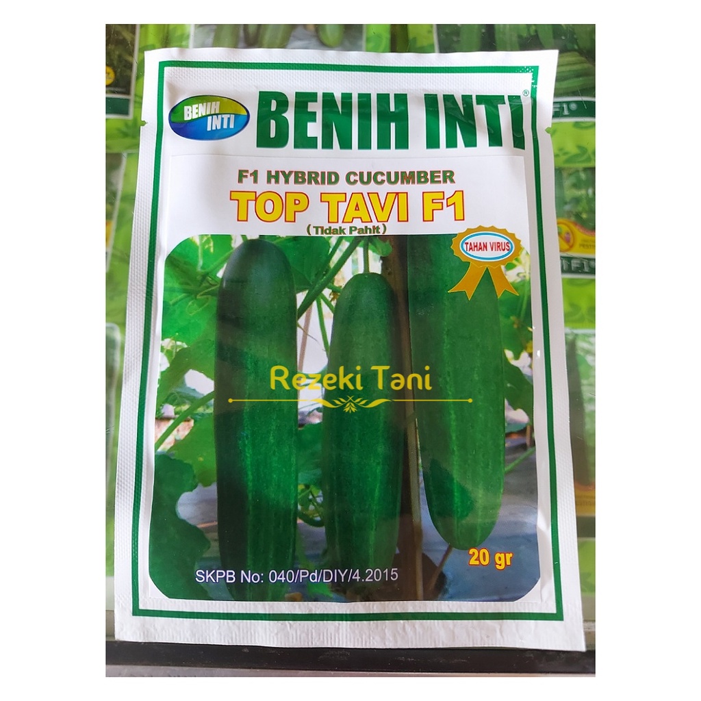 Jual Benih Timun Top Tavi 20gr Benih Inti | Shopee Indonesia