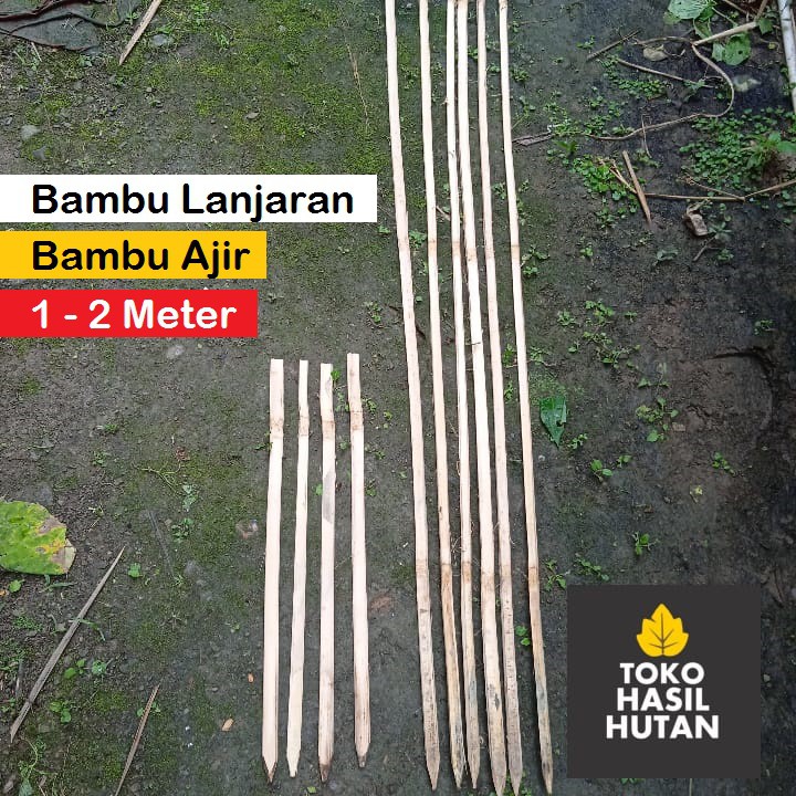 Jual 1-2 Meter Bilah Bambu Ajir Tanaman / Bambu Lanjaran Tanaman - Toko ...