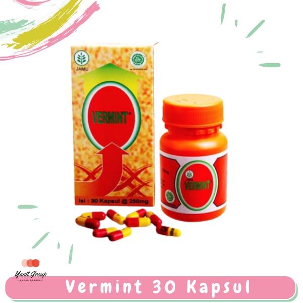 Jual VERMINT isi 30 kapsul Original Obat Tipes Typus Tipus | Shopee ...