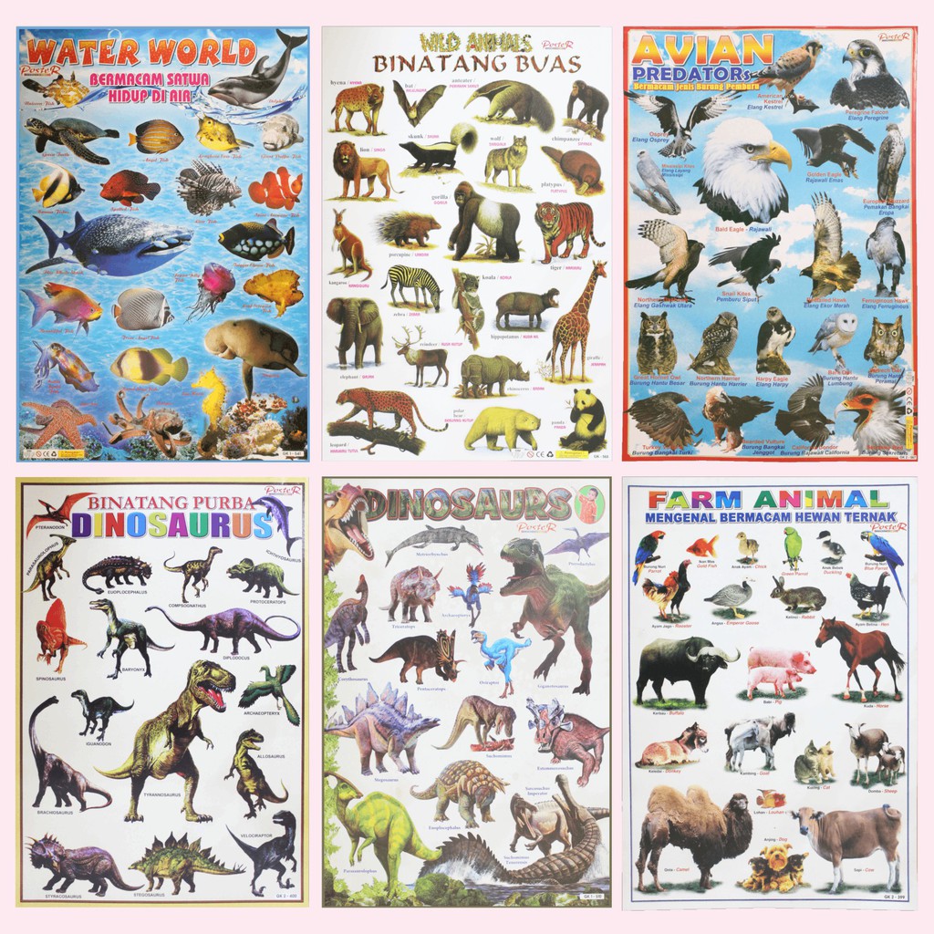 Jual Poster Edukasi Anak / Lembaran : Water World Binatang Buas Avian ...