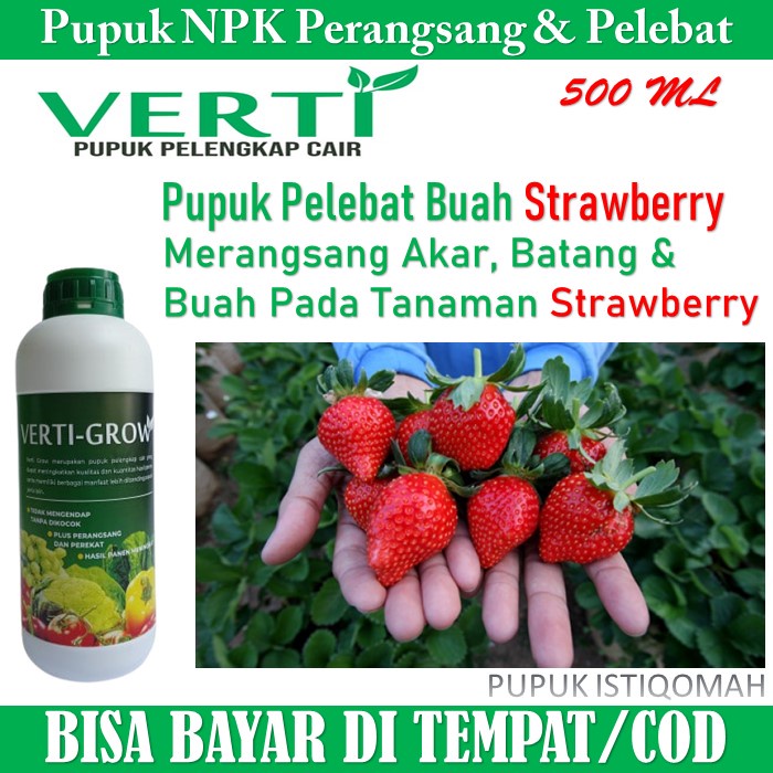 Jual Pupuk NPK Cair Verti Grow Pupuk Pelebat Buah Strawberry - VERTI GROW Pupuk NPK Cair 500 ML ...