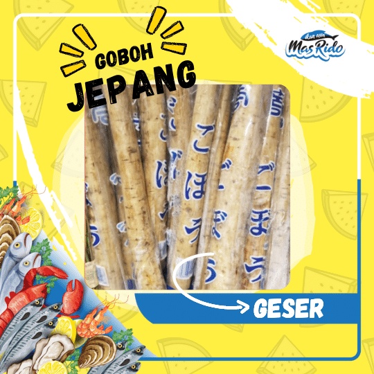 Jual GOBO JEPANG BURDOCK ROOT AKAR GOBO KETELA JEPANG UNTUK KESEHATAN ...