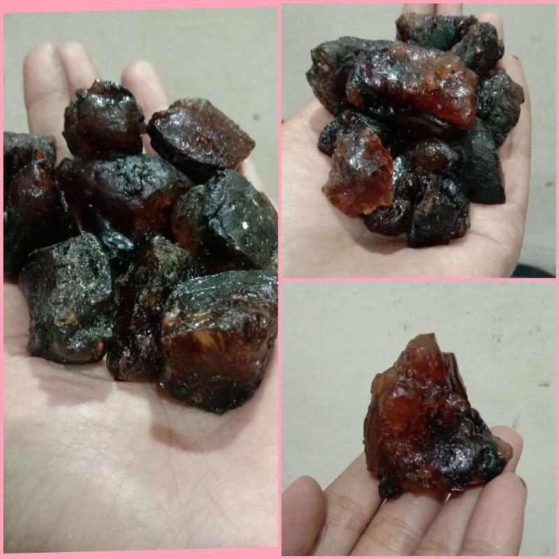 Jual GETAH KATILAYU ASLI /BAHAN ESSEN UNTUK MANCING IKAN | Shopee Indonesia