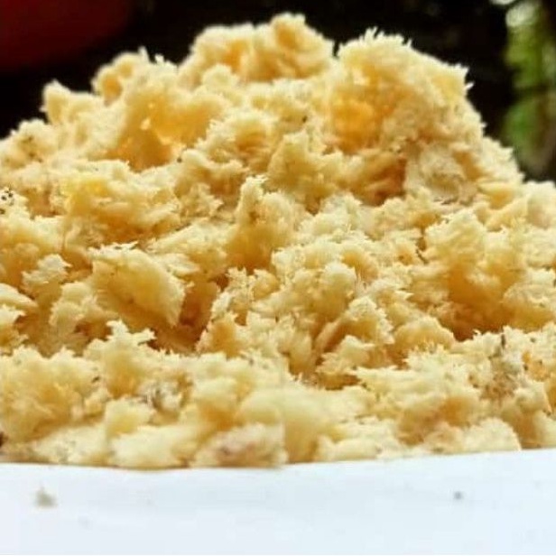 Jual telur bsf maggot | Shopee Indonesia